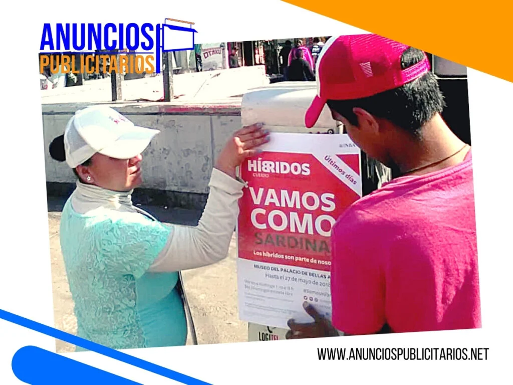 Pegado de posters Todo lo que necesitas saber 👍